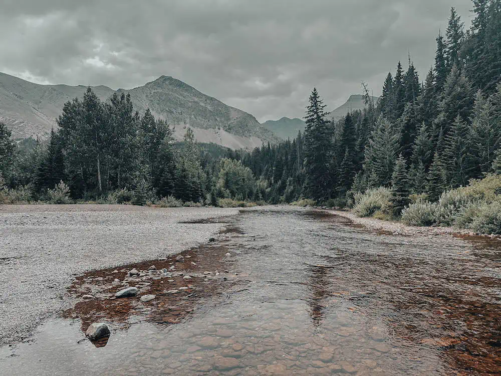 Running Eagle Falls Trail: An Easy Hike in Two Medicine