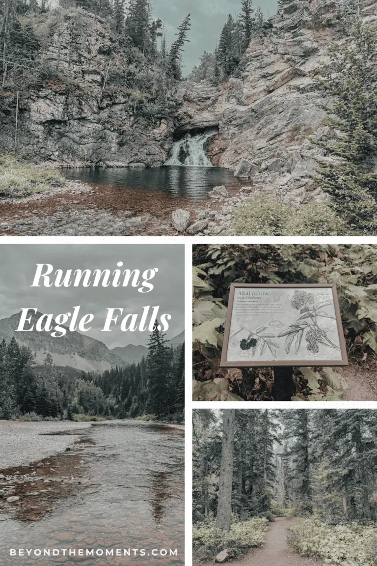 Running Eagle Falls Trail: An Easy Hike in Two Medicine