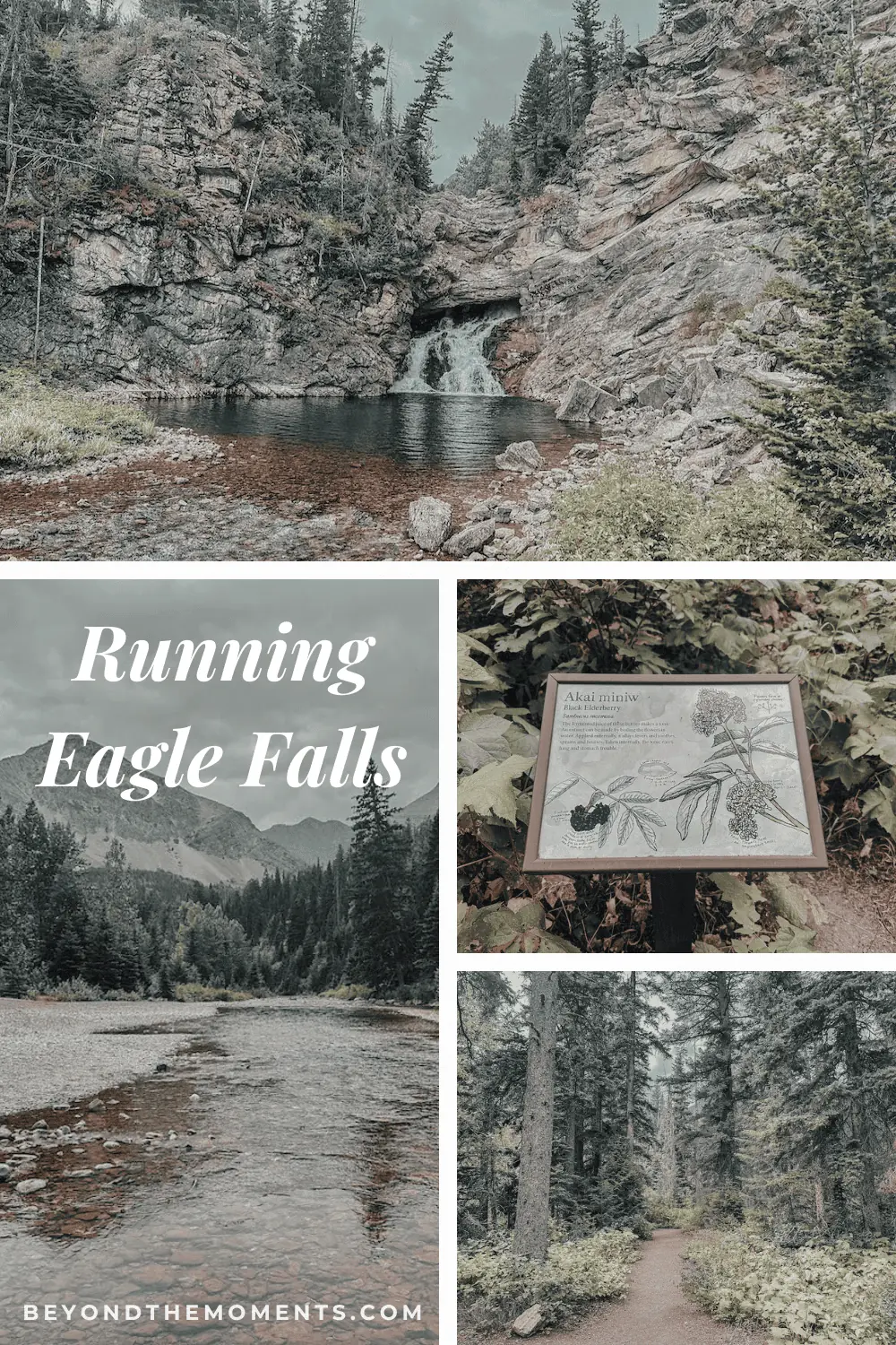 Running Eagle Falls Trail: An Easy Hike in Two Medicine